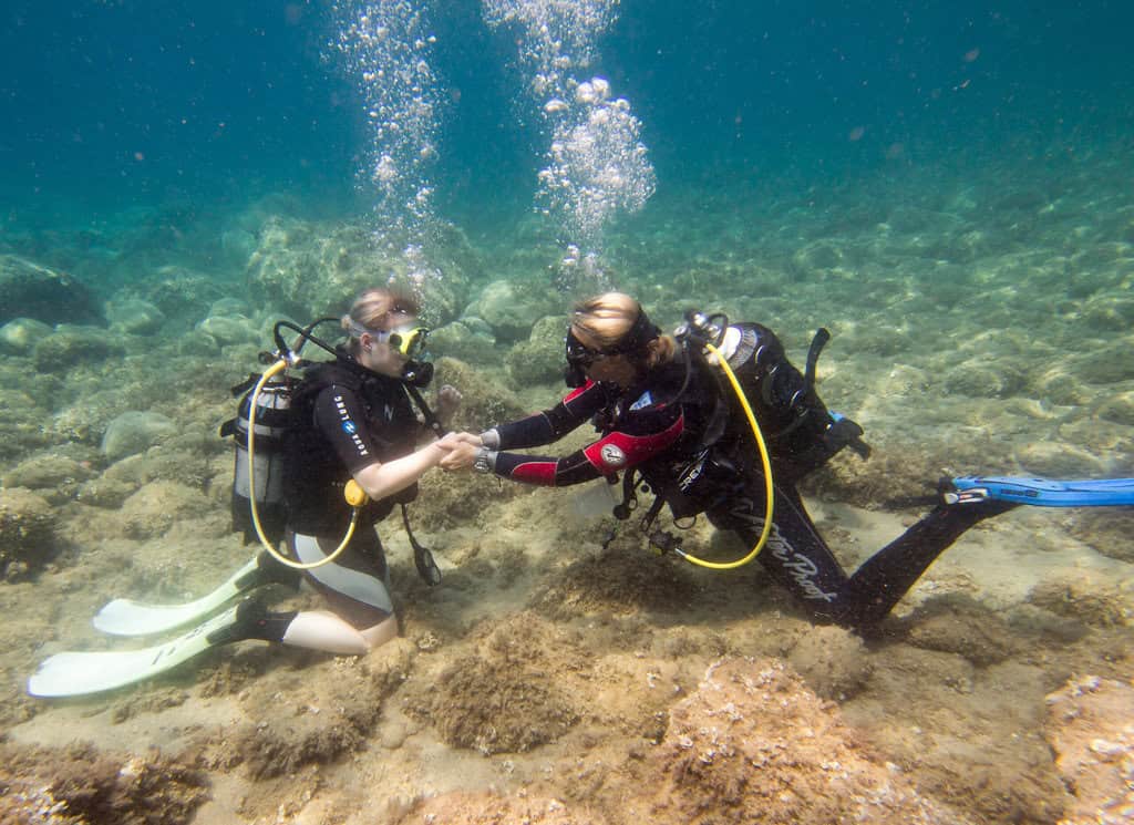 Scuba Diving Refresher(2 dives) - 2024